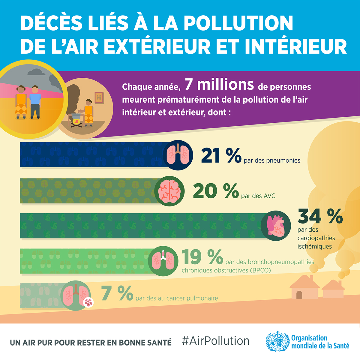 L'environnement pour les nuls
