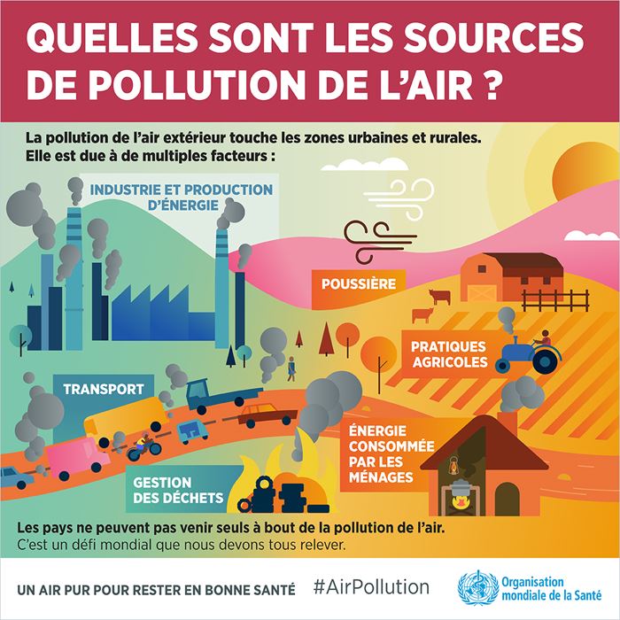 L'environnement pour les nuls